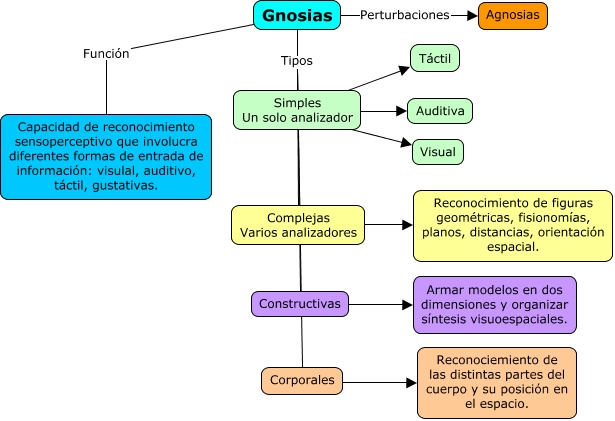 Neuropicología Gnosias